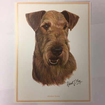 AIREDALE TERRIER Greeting Card Robert J May Notecard Frameable Made in ...