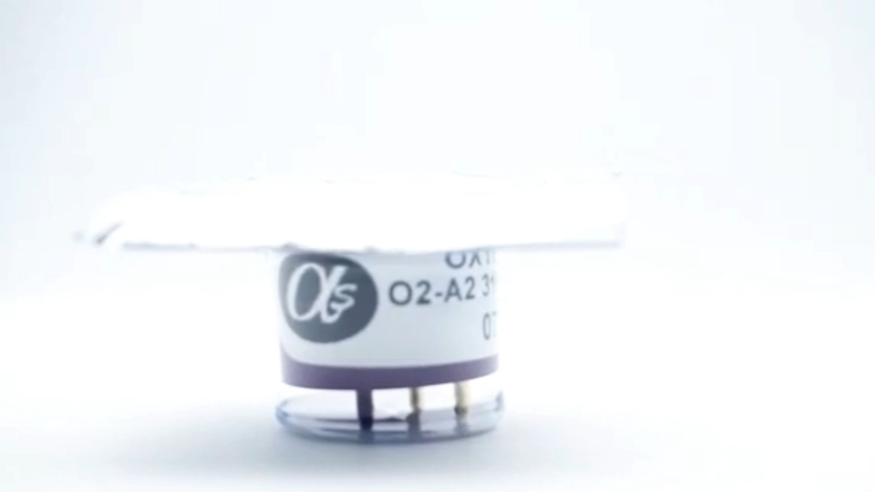 O2-A2 02-A2 Oxygen Sensor Compatible with BW Technologies Gas Alert ...