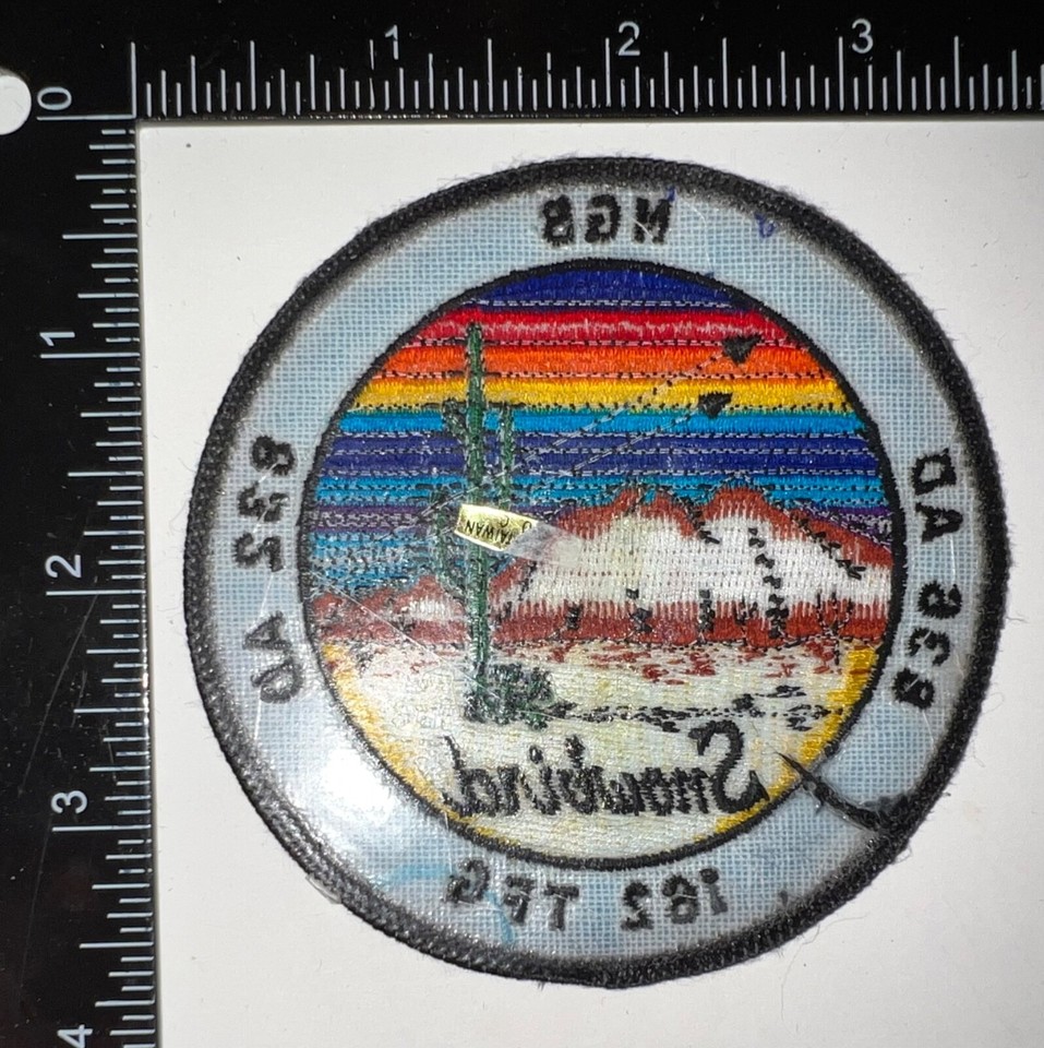 USAF US Air Force 162nd Tactical Fighter Group NGB Snowbird Patch | eBay