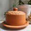 Vintage Terracotta Brocante Scalloped Cheese Dome Rustic Farmhouse | eBay