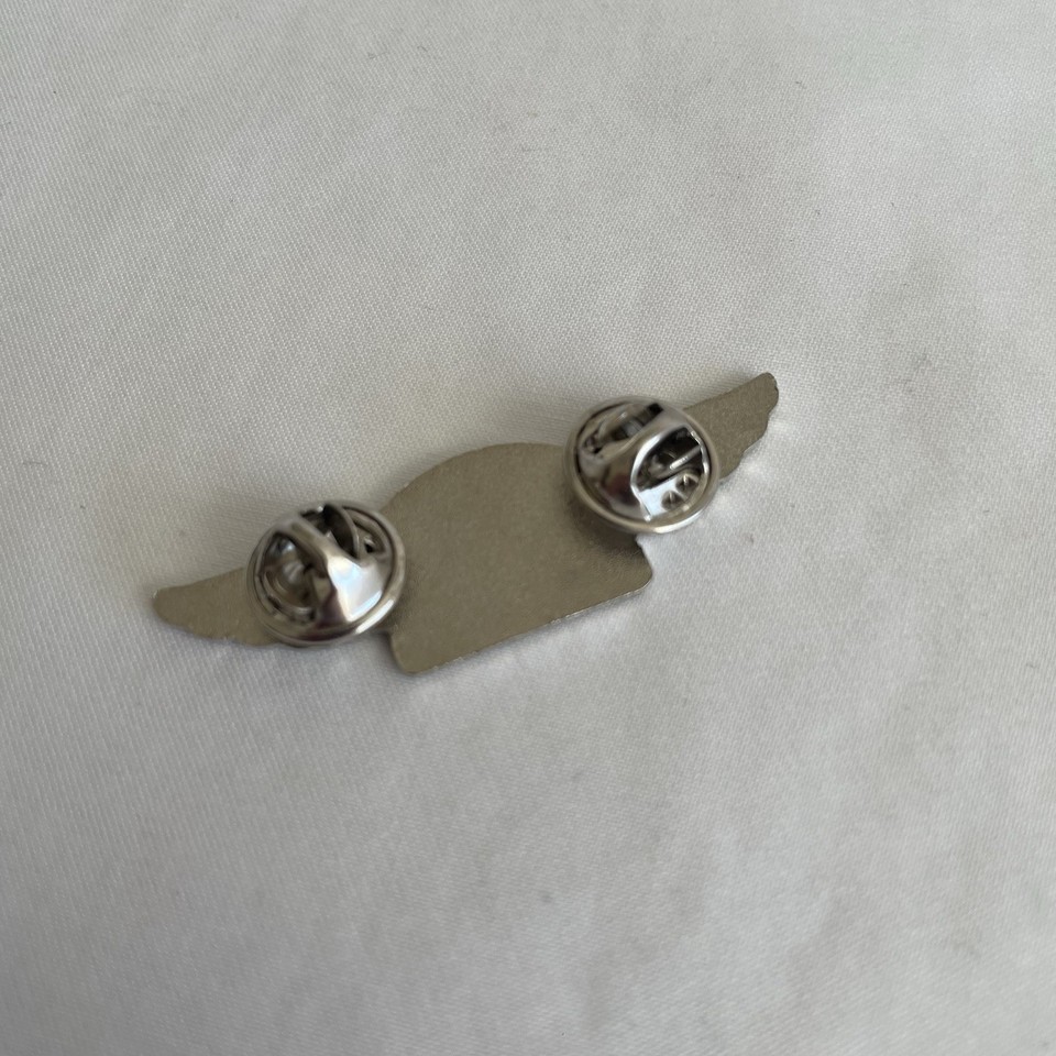 Google Orion Juniper Networks Commemorative Pin Pilot Wings Software | eBay