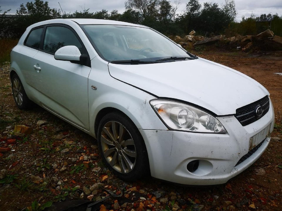 Trunk Luggage Shock Lift Cylinder, Gas Pressure Spring - REAR f ...