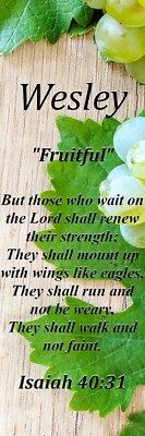 Wesley "Fruitful" Keepsake Name Meaning Bookmark with Bible Verse and ...