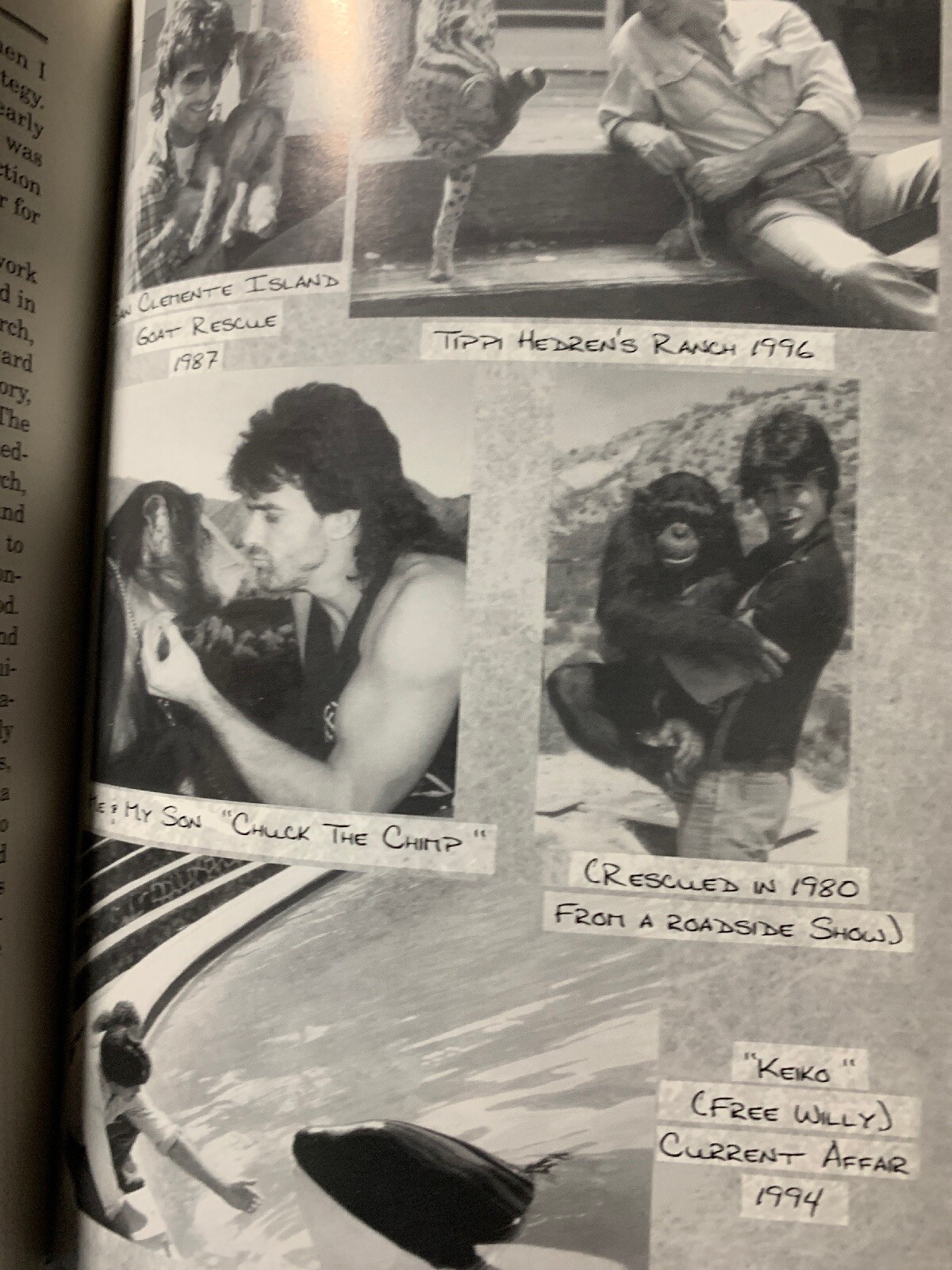 In Your Face : From Actor to Animal Activist SIGNED by Chris DeRose HC ...