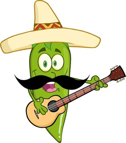 30 Custom Mexican Green Chili Pepper Personalized Address Labels | eBay