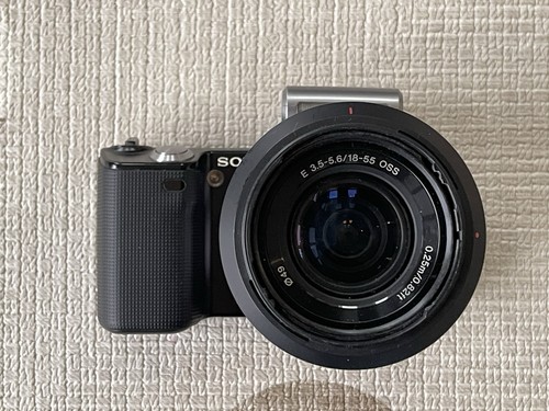 Sony NEX-5 Mirrorless Digital Camera W/detachable Flash and 18-55mm ...