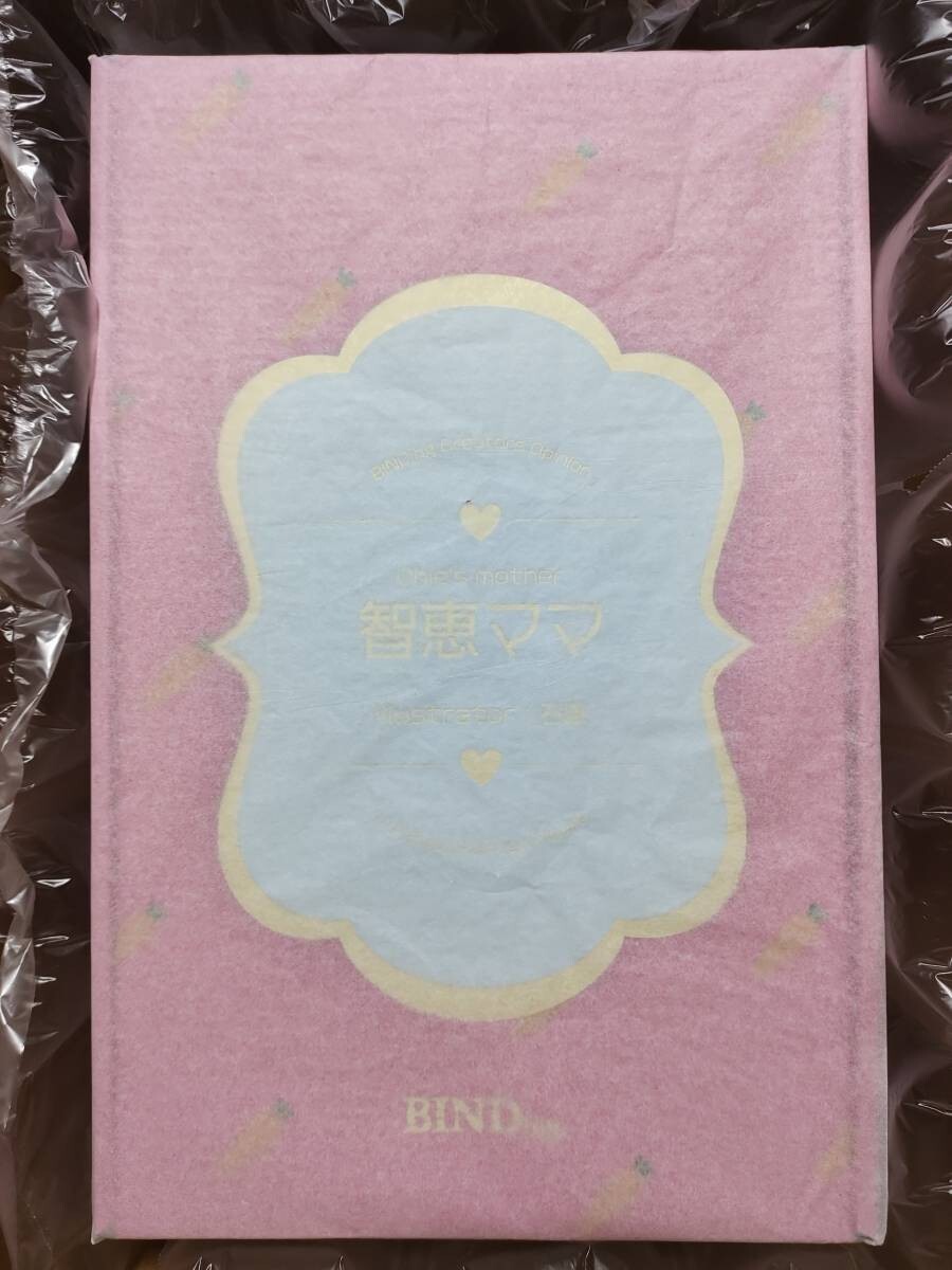 Native BINDing Ishikei Original Character Chie Mama 1/4 PVC Figure New ...