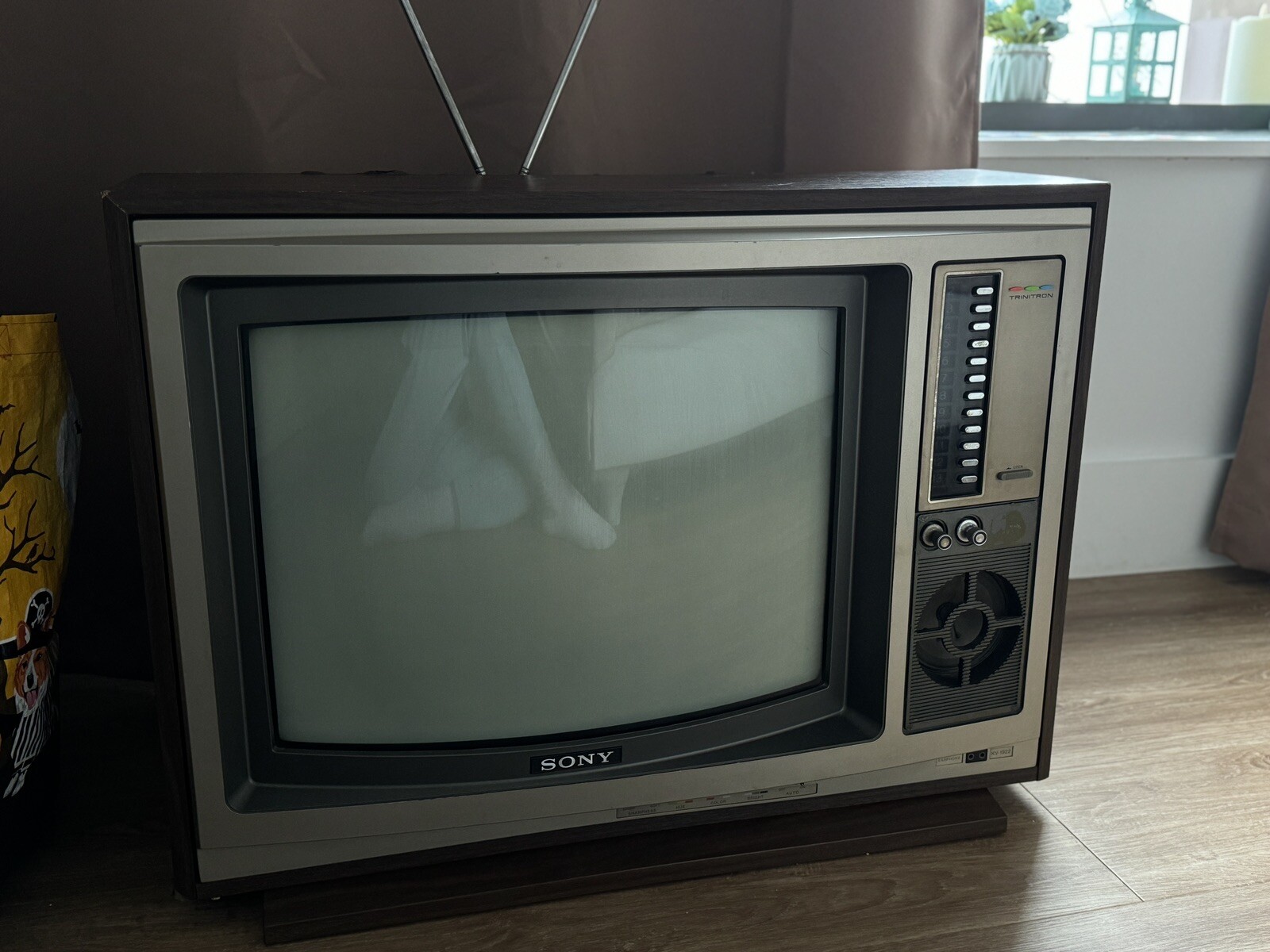 Vintage 1978 Sony Trinitron Color TV KV-1922 with original antenna | eBay