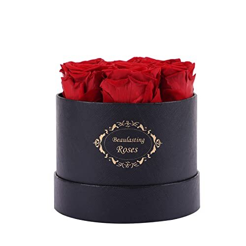 Preserved Roses Box Eternity Roses Long Lasting Roses Gifts for 7 Roses ...