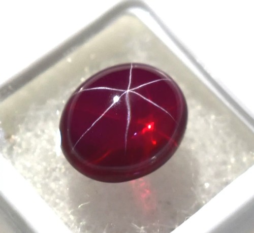 6 Rays Red Star Ruby 8 Ct Natural Burma Oval Cut Cabochon Loose ...