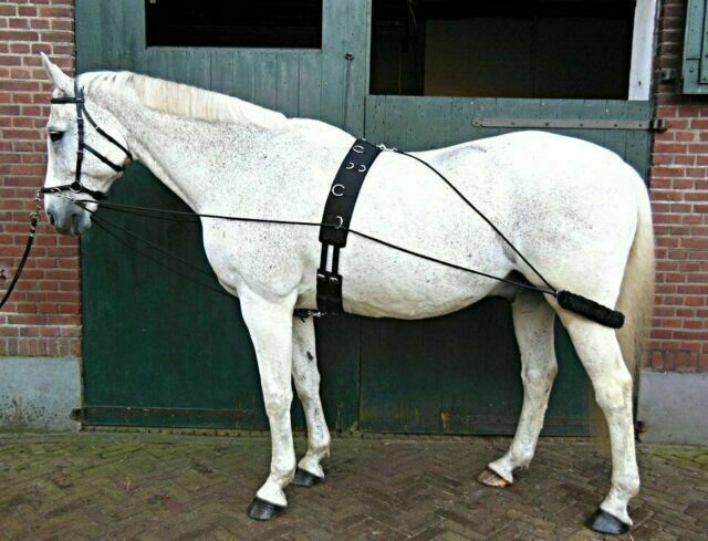 Horse Lunging Training Aid Pessoa Based Black One Size Fit All Limited ...