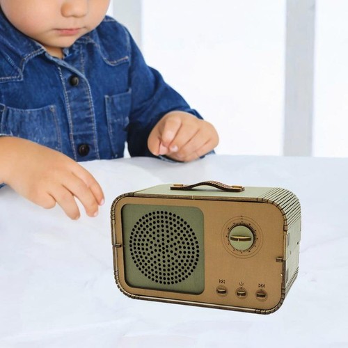 DIY Bluetooth Speaker Box Kit Science Experiment Electronics Kit for ...