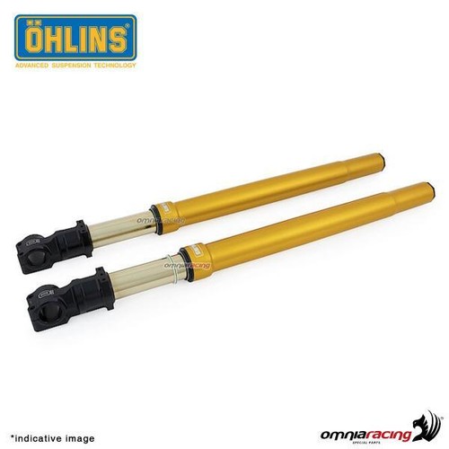 Ohlins FF520 upside down fork USD 43 800mm gold color with cartridges ...