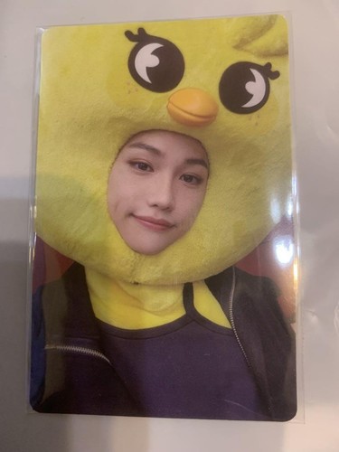 Stray Kids Felix SKZOO Trading Card Album Purchase Member Benefits Mint ...