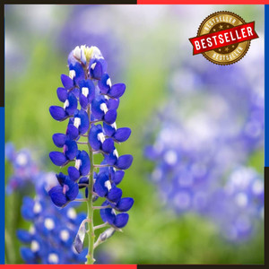 Infa Digital | eBay Stores