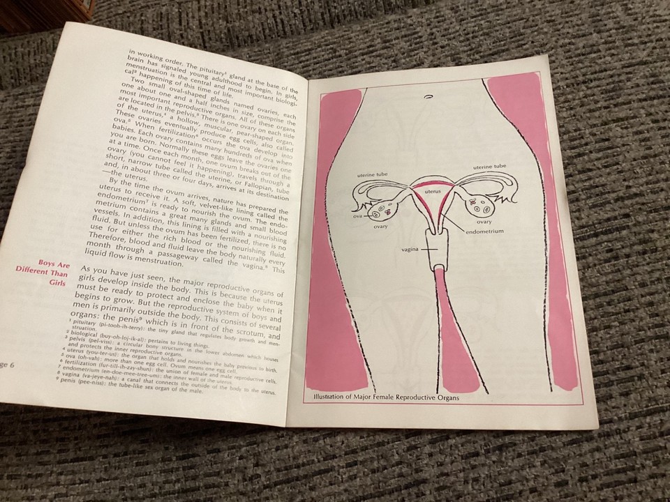 1973 WHAT IT MEANS TO BE A GIRL: The Miracle of You - The Life Cycle ...