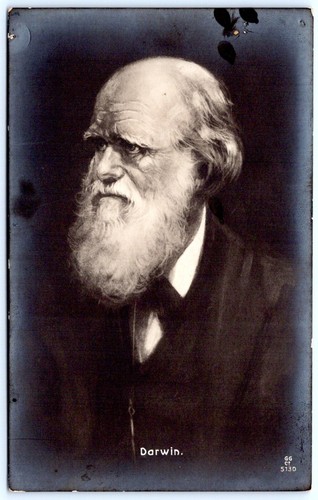 Postcard RPPC Charles Darwin Scientist Evolution Photo Portrait GG Co ...