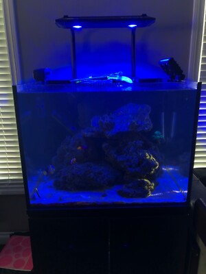 kessil ap 700 LED fish tank light and used but in good condition | eBay