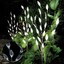 60 LED Branch Tree 3Pcs Garden Outdoor Multi Color & White Leaf Tree ...
