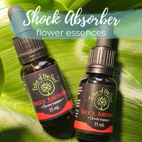 Shock Absorber - Flower essences | eBay