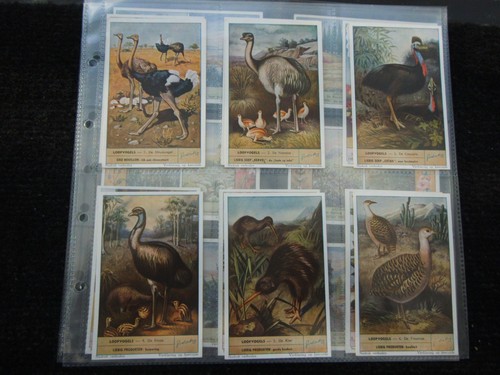 ONE COMPLETE SETOF SIX LIEBIG TRADE CARDS | eBay UK