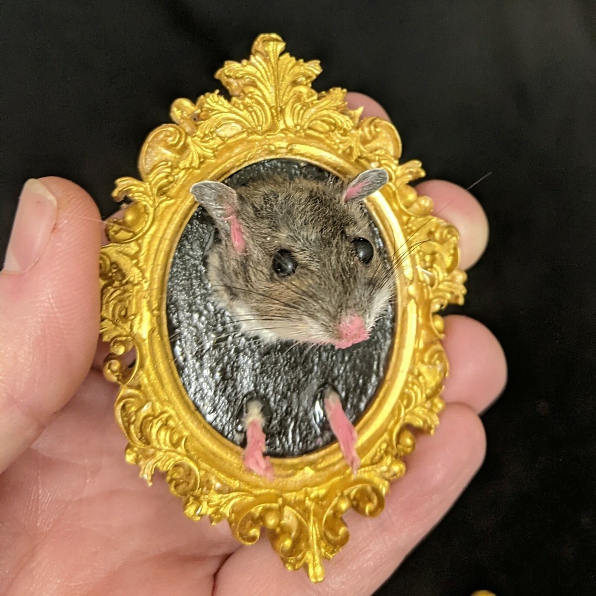Gold Mouse