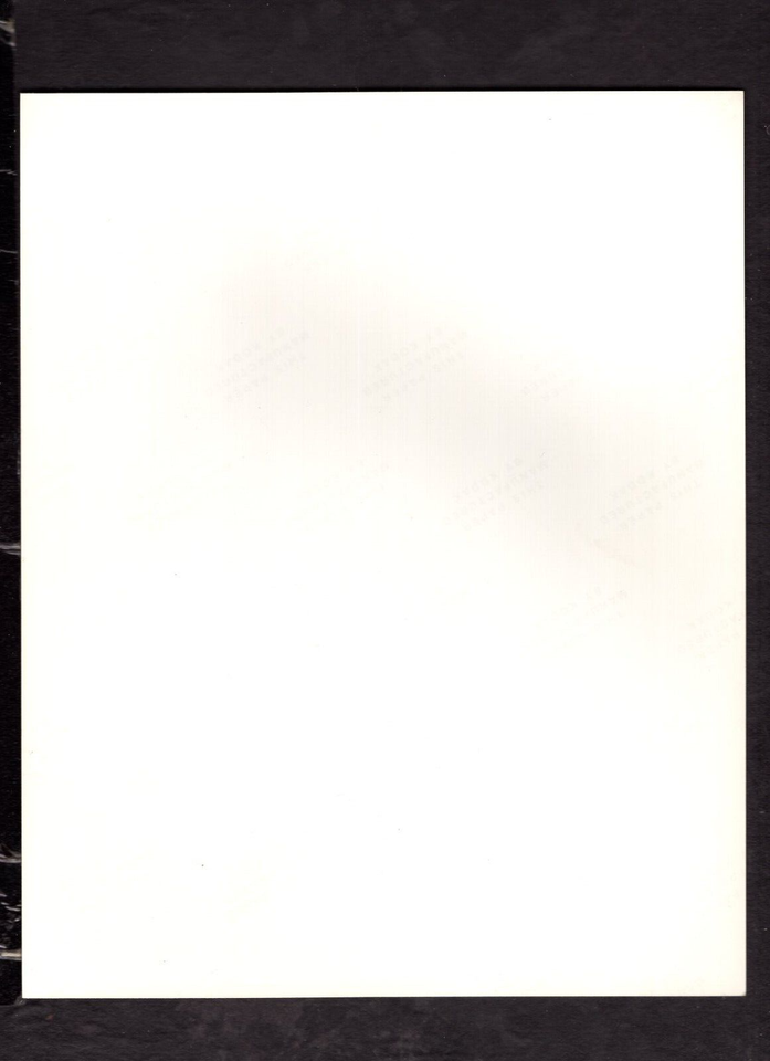 1984 Boston Red Sox Old Timers' Game Team Press Original Photo | eBay