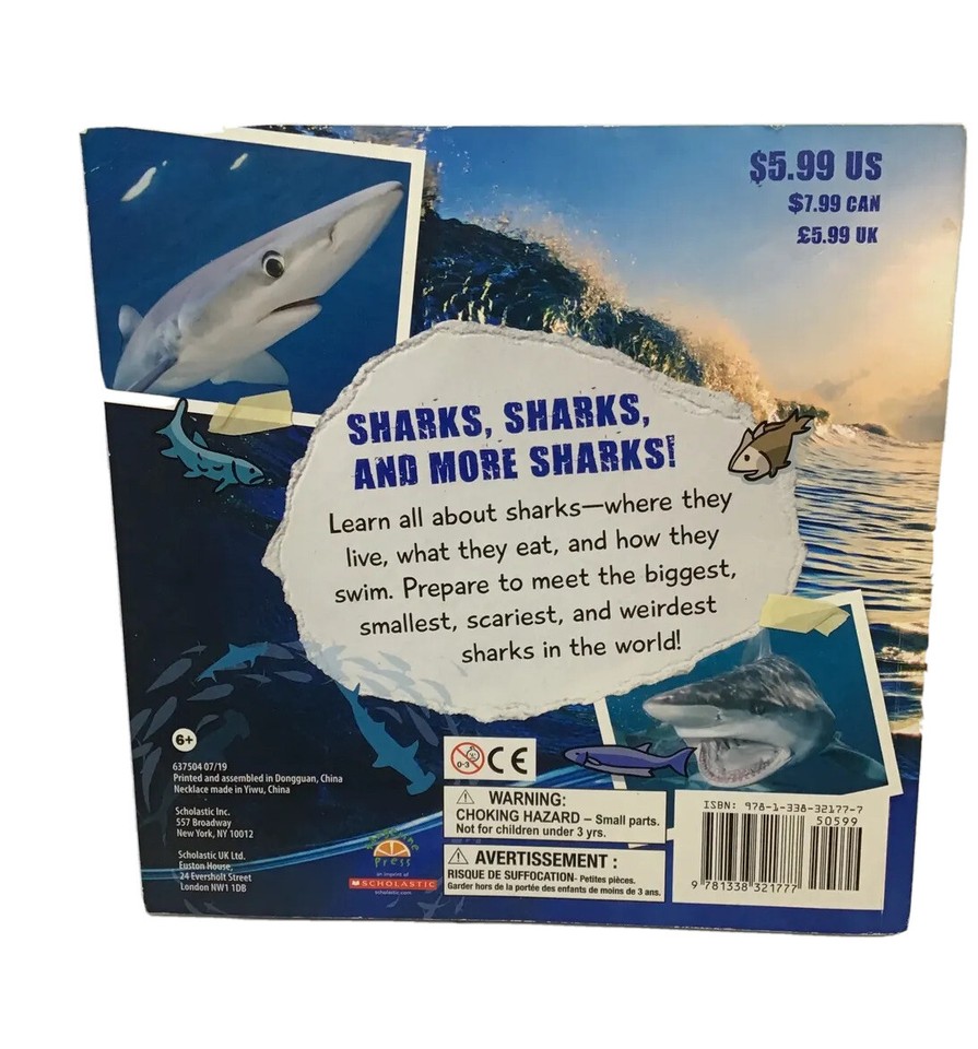 Shark Bites Scholastic Book Realistic Shark Book Picture Book Paperback ...