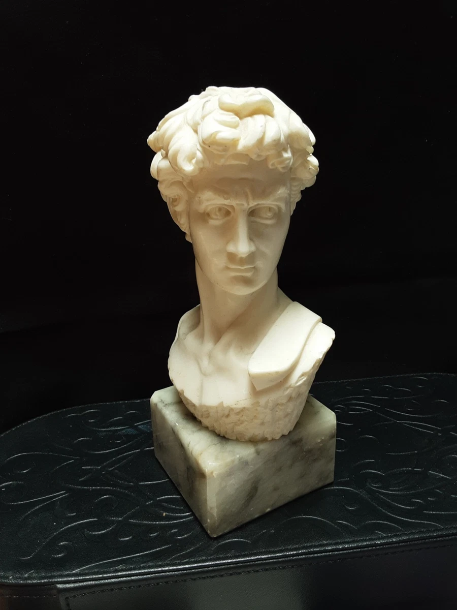 Michelangelo David Head