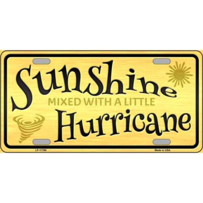 MINI Size 4"x2.2" License Plate Metal Sign Sunshine With A Little ...