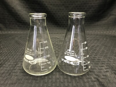 (Lot of 2) VWR Glass 250mL Heavy Wall Graduated Erlenmeyer Flask 89000 ...