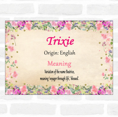 Trixie Name Meaning Floral Certificate | eBay UK