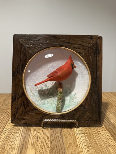 William Reinbold Carved Cardinal Diorama - Domed Glass Frame 1960s | eBay