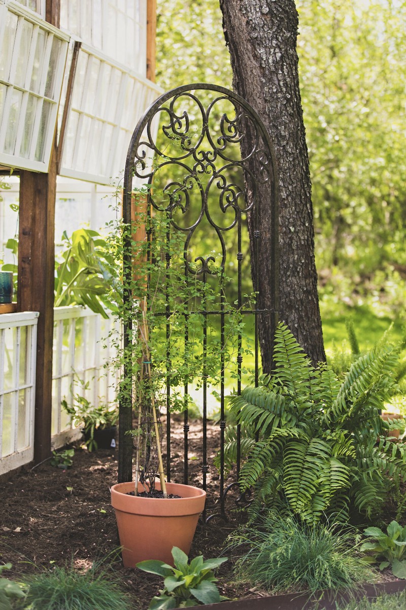 Wrought Iron Trellis