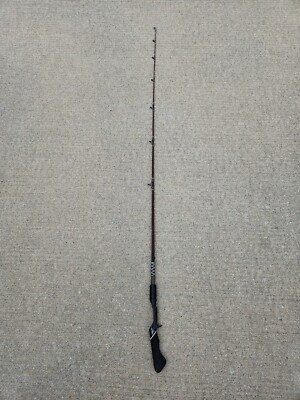 Vintage - Fenwick Rod