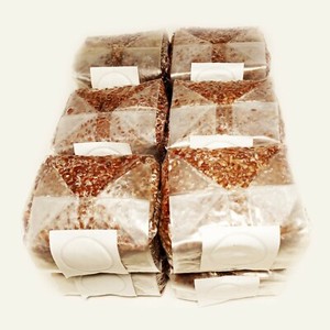 12 x 1 lb. Sterilized Rye Berries Mushroom Substrate Bags for Grain ...