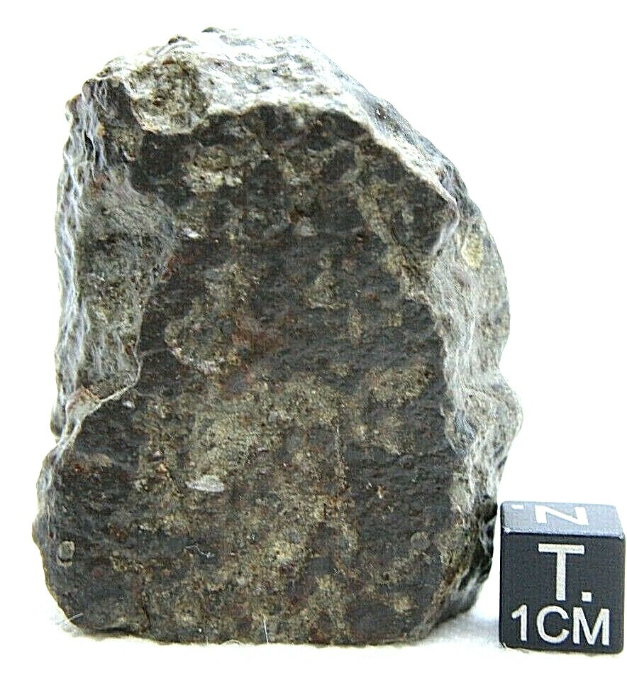 NEA 020 LL4-7 Breccia Chondrite rare Meteorite 119 Gram main mass ...