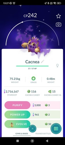 Pokémon Shiny Shadow Cacnea GO | eBay