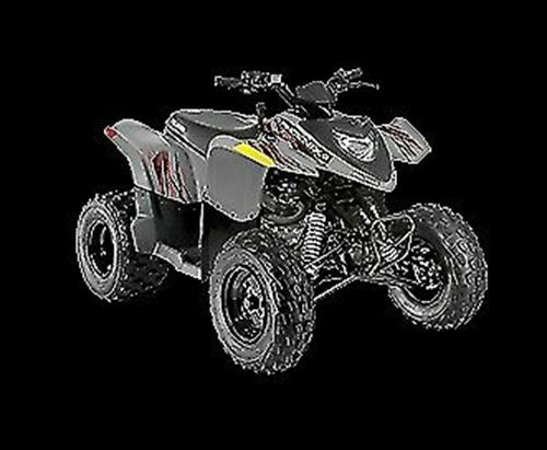 NEW OEM POLARIS PHOENIX 200 FRONT FENDER GRAY 2017 2018 | eBay