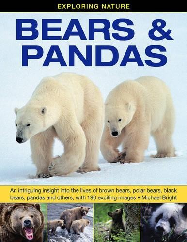 Michael Bright Exploring Nature: Bears & Pandas (Copertina rigida ...