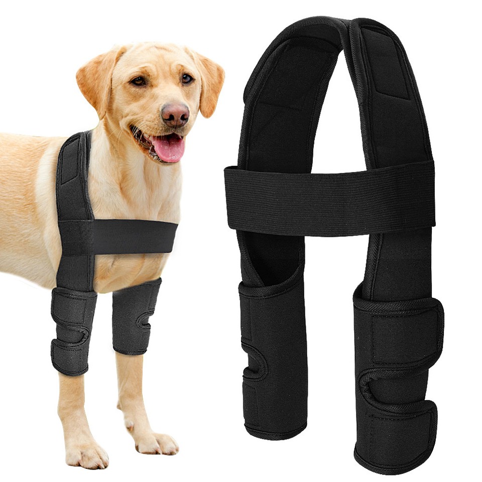 Dog Front Legs Brace Hock Wraps Bandage Help Wounds Compression Joint ...