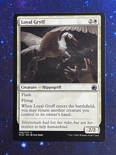 MTG, Loyal Gryff, Innistrad: Midnight Hunt 026/277 Regular Uncommon | eBay