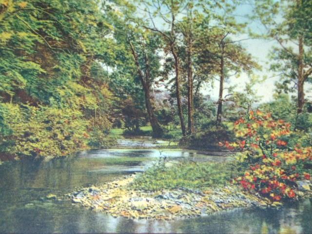 3 Old Wallace Nutting Framed Hand Colored Photo Prints, BIRCH BEND ...