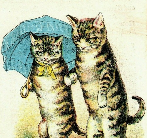 1880's The Great Bankrupt Assignee Clothing Anthropomorphic Cat Couple ...