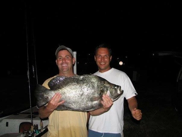Florida Sheepshead Hook Size