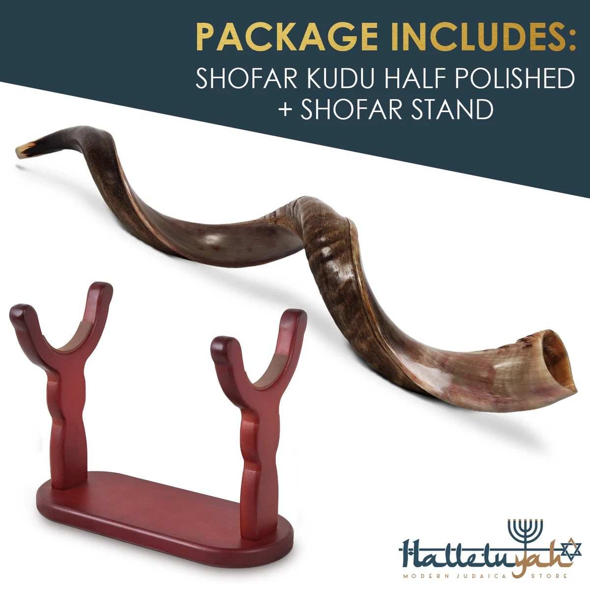 Shofar Horn