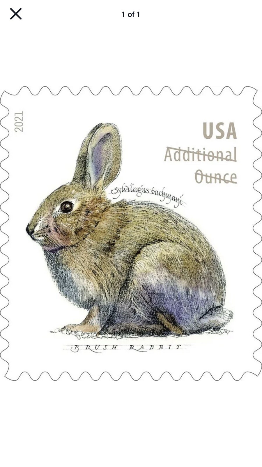 2021 US Stamp - Brush Rabbit - Single Coil-MNH Additional Ounce Stamp ...