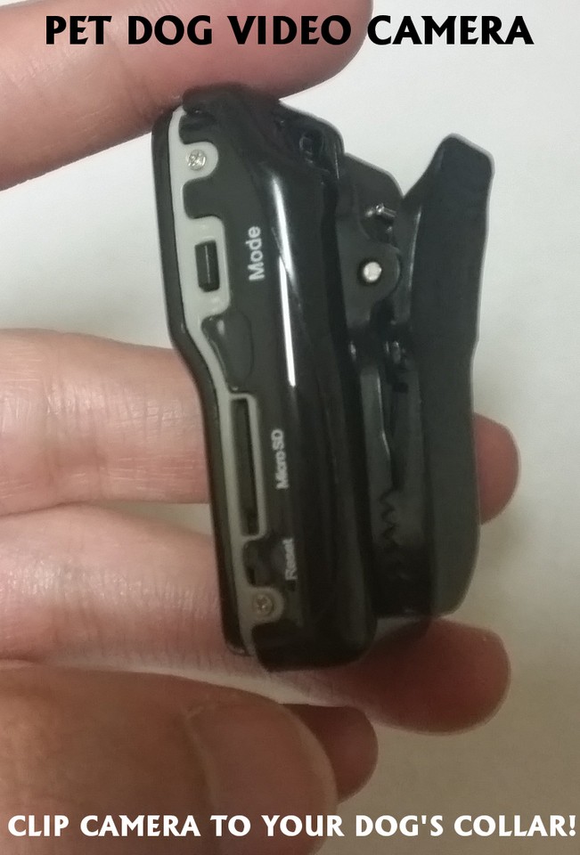 Wireless Pet Dog Video Camera Recorder Cam Video Color Audio Sound ...