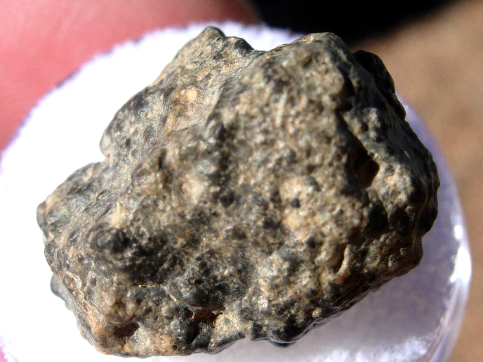 4.40 grams 20x14x13mm Gadamis 004 Lunar Meteorite as found individual ...
