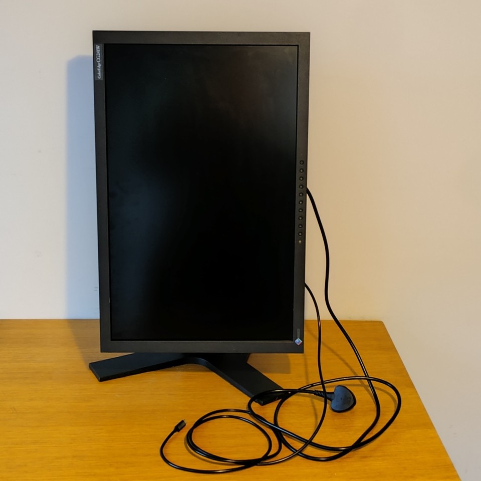 EIZO ColourEdge CG241W 61cm (24 Inch) LCD Monitor With Cables | eBay UK